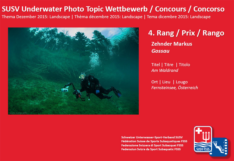 mergo.info/publi+erfolg